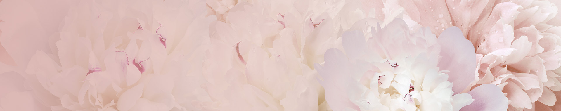 Our Core Values - Infinity Fragrances : Infinity Fragrances